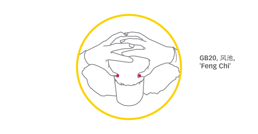 6 Eye Exercises for Refreshing Vision – PULSE TCM