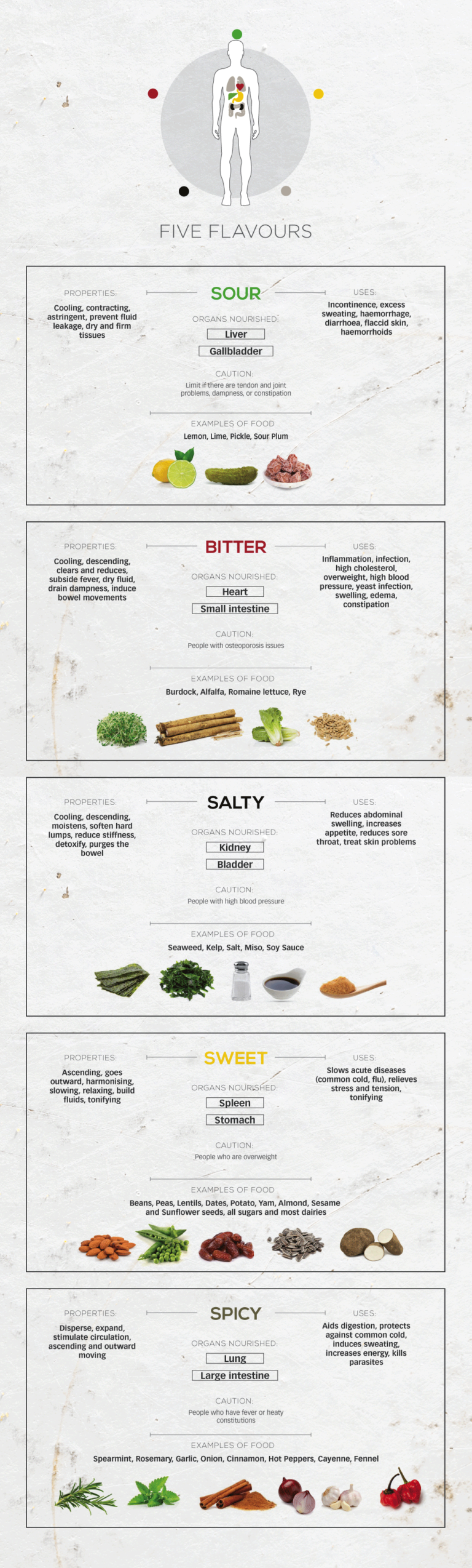 Food for Health – A TCM Perspective – PULSE TCM