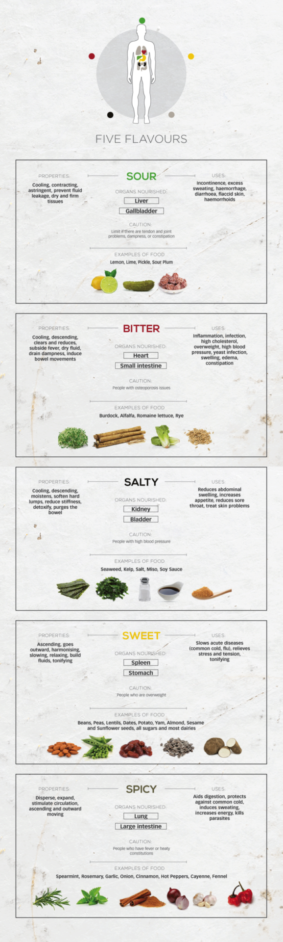 Food for Health – A TCM Perspective – PULSE TCM