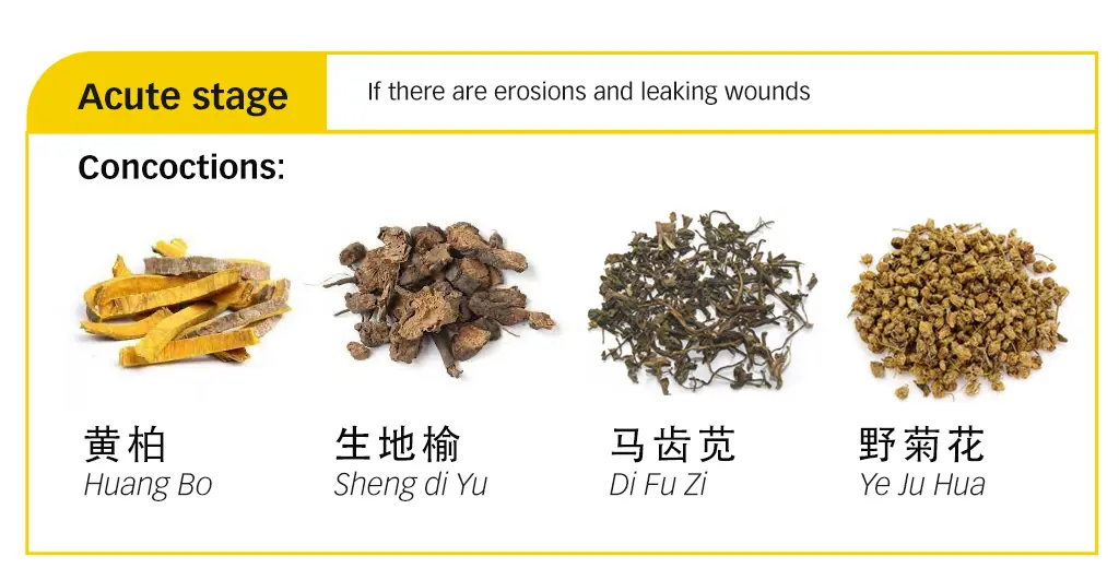 Eczema: How TCM Can Help – PULSE TCM