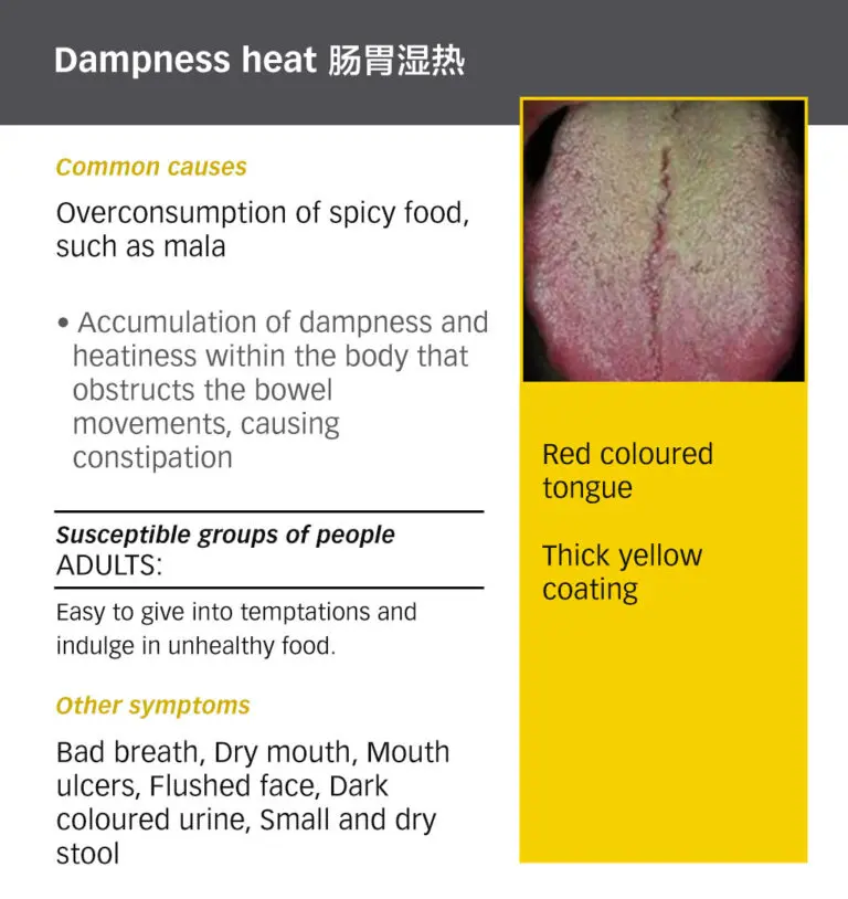 Common Digestive Issues – How TCM can help? – PULSE TCM