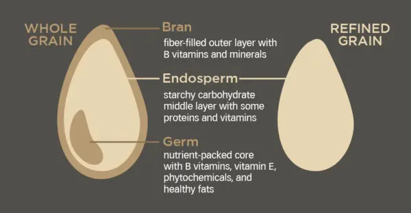 Types of Rice – PULSE TCM