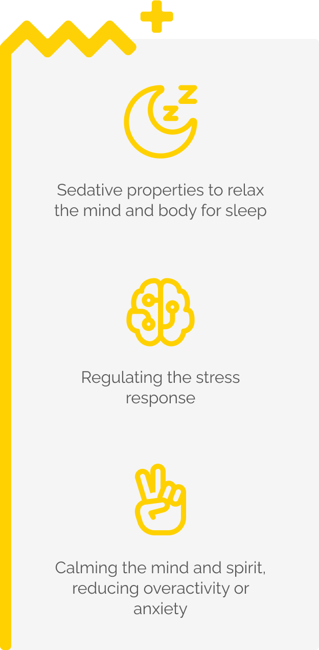 TCM & Acupuncture for Insomnia – PULSE TCM