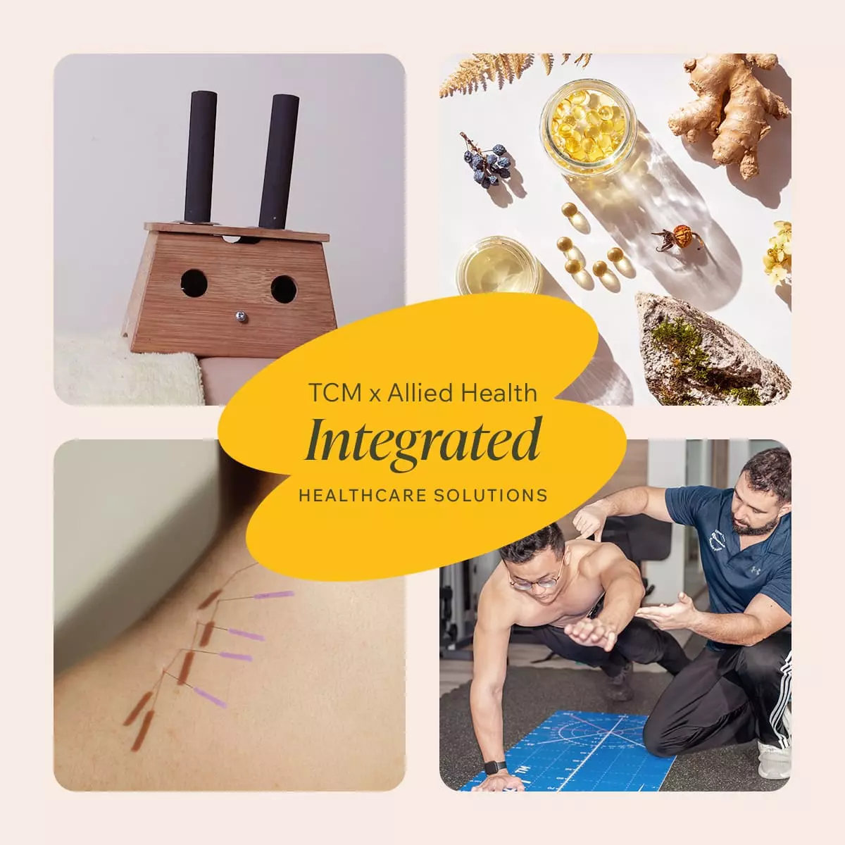 TCM Clinic Solution – PULSE TCM