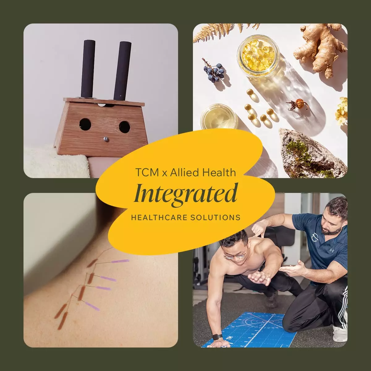 Woodleigh Integrated Clinic – PULSE TCM